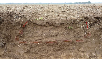 Comment réduire le tassement de vos sols après la récolte?