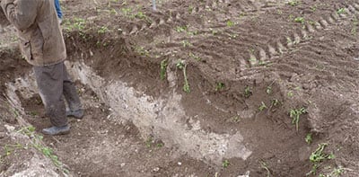 Démonstration de la compaction des sols liée à vos pneus de tracteur